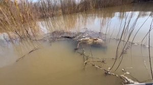 Прогулка на лодке с мотором по реке Уфа