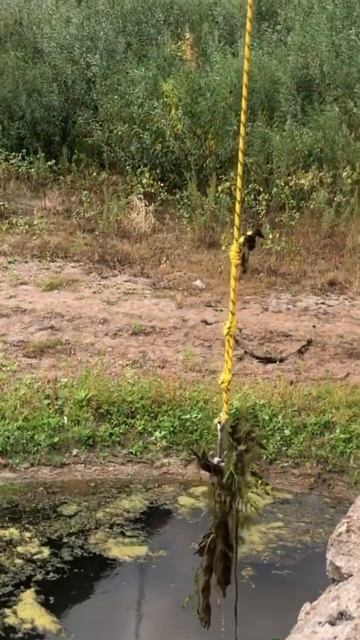 Закинули поисковый магнит, уже на канале полное видео. Поддержи подпиской 🤣