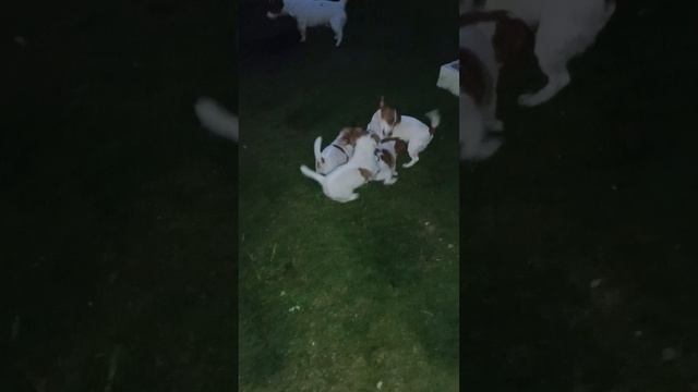 1000040726.mp4