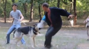 Алеант Велемир на площадке ШОС "'АРЕС" 26.09.15