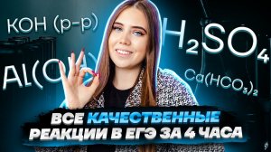 ВСЕ качественные реакции в ЕГЭ за 4 часа | Химия ЕГЭ | Умскул