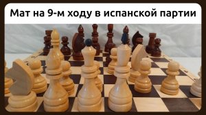 Мат на 9-м ходу в испанской партии. Обучение шахматам.
