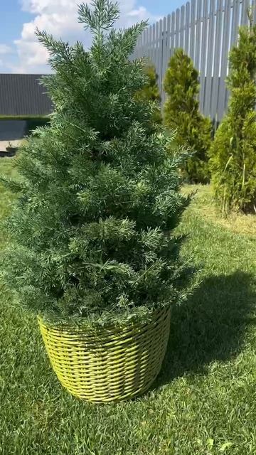 ТУЯ искусственная  90 см ТМ Crystal Trees
