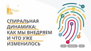 Спиральная динамика в бизнесе: опыт АйТи План и результаты