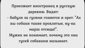 Сборник анекдотов №347. Умом Россию не понять.