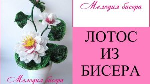ЛОТОС из БИСЕРА - мастер-класс. Урок 3/3 - Сборка