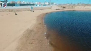 Подготовка к открытию городского пляжа