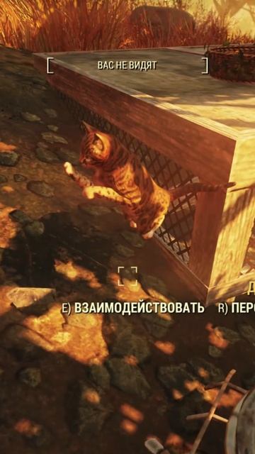 Fallout 76 - взмах лапкой (новая команда для кошек)