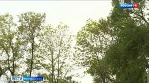 Сотрудники МЧС прогнозируют дождливый и холодный июнь в ЕАО