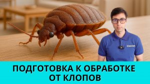 Как подготовить квартиру к обработке от клопов?