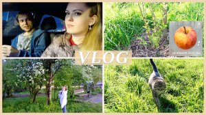 🍎 ТА САМАЯ ЯБЛОНЯ | МНОГО РАССУЖДЕНИЙ | ПОДАРОЧЕК 🎁