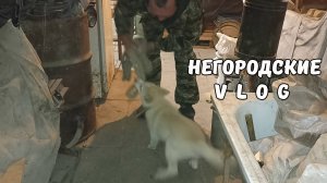НУТРИИ подождут: Женя бесится с Туманом. 21.05.25