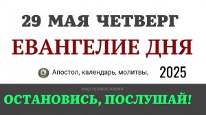 29 мая четверг Евангелие дня 2025 с толкованием Вознесение Господне