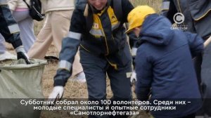 Вартовчане продолжают очищать город от мусора и прошлогодний листвы