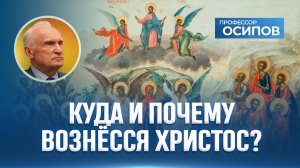 Куда и почему вознёсся Христос? (ТК «СПАС») / А.И. Осипов
