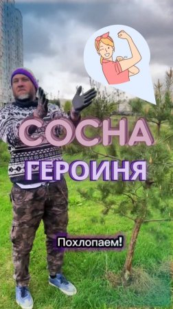 🌳✨ Защитить молодые деревья в городе !