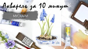 Рисуем акварелью за 17 минут - цветы мускари. Быстрые зарисовки. Акварель для новичков