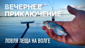 Ого! Вот это лопаты 😀!  Вечернее приключение !!! Рыбалка на ВОЛГЕ.