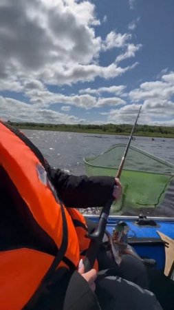 Первая щука🎣 #природа #fishing #рыба #рыбалка #щука #спинн?