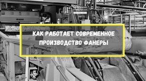 Современные технологии в производстве фанеры: внедрение датчиков линейного положения серии MSI