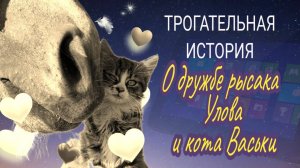 Трогательная история о дружбе