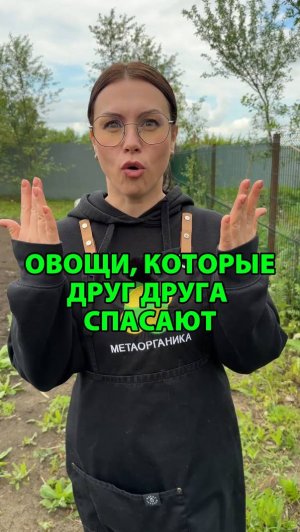 Овощи, которые друг друга спасают