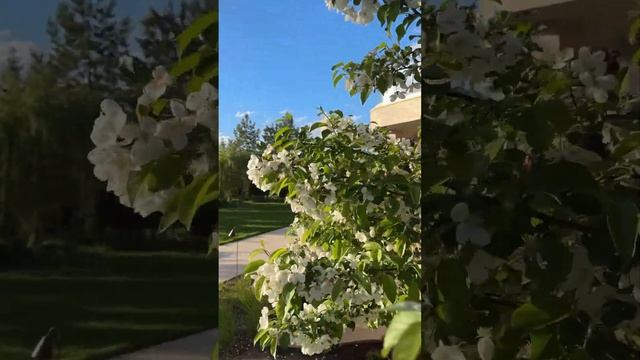 Прогулка по одному из наших объектов