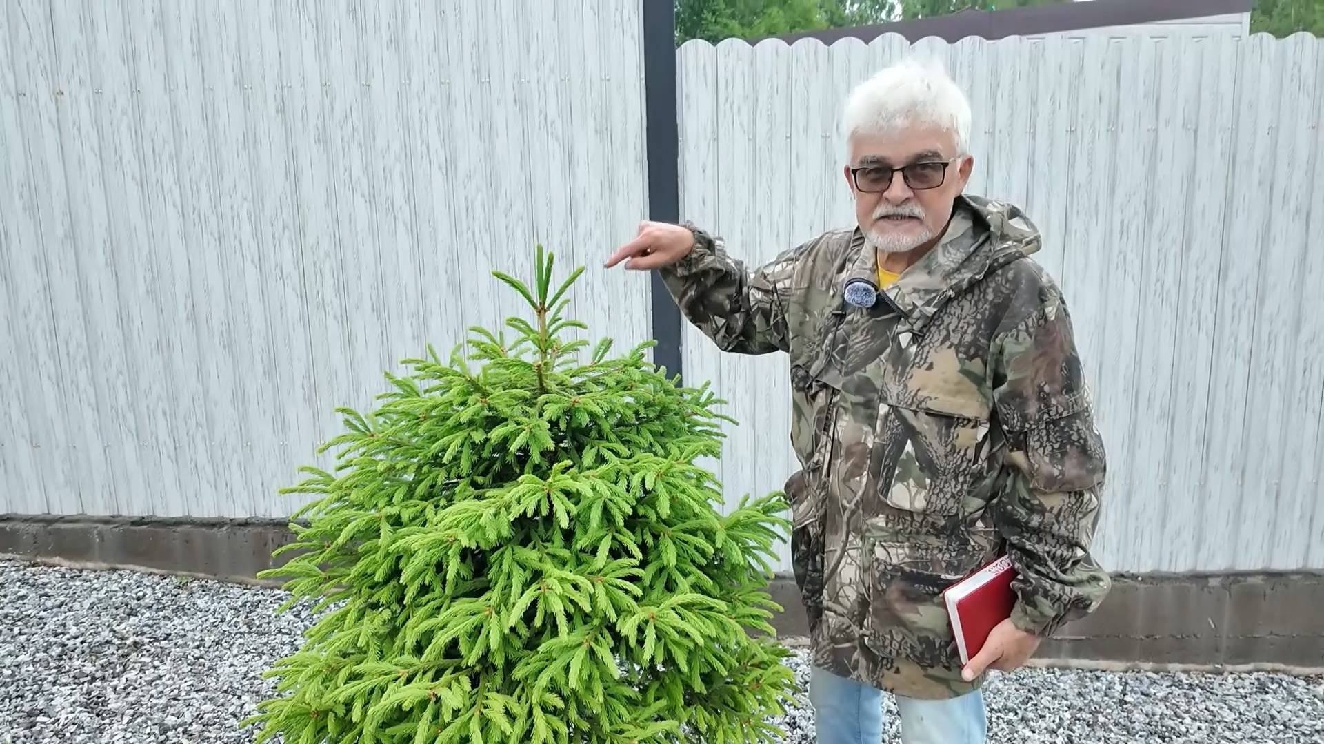 Вперёд, товарищи! На дачу! Выпуск от 27.05.25