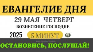29 мая четверг Евангелие дня 2025 с толкованием Вознесение Господне