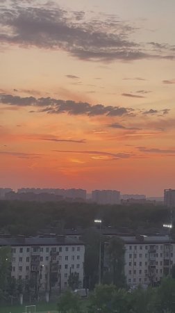 Чайки на закате