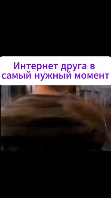 Rust вылетел интернет #rust #раст