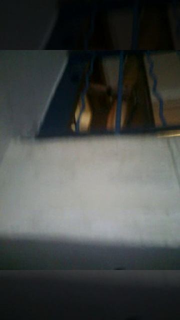 Мрак-скандал: стукачка водит мужиков _20250529_190051