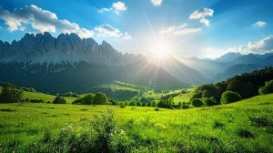 Ира, квартиру твоей бабки я заберу себе! Я же с похорон?