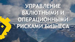 Управление валютными и операционными рисками бизнеса