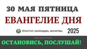 30 мая пятница Евангелие дня 2025 с толкованием