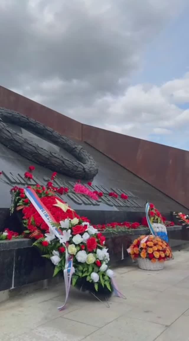 Отзывы студентов