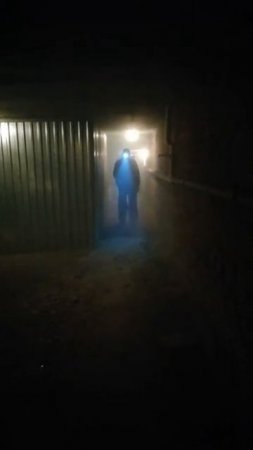 Борьба с блохами в Ростовской области центром дезинфекции Чикой-Сервис