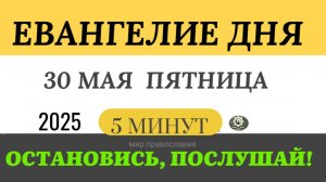 30 мая пятница Евангелие дня 2025 с толкованием