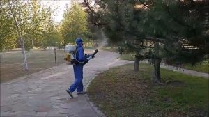 Лучшая обработка от клещей в Ростовской области от СЭС Чикой Сервис