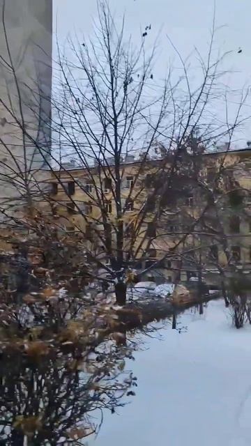 Типичный двор в Питере | Васильевский остров