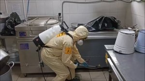 Обработка столовой от тараканов в Ростове-на-Дону специалистом Чикой Сервис