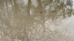 Ужасная поездка на велосипеде на алмазное озеро проби