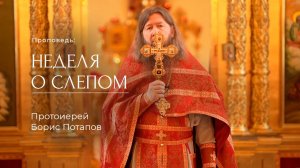 Неделя о слепом 25.05.2025. Протоиерей Борис Потапов.