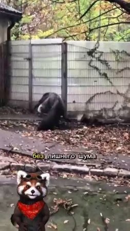 Муравьед🤣