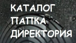 Каталог, папка, директория - в чём разница?
