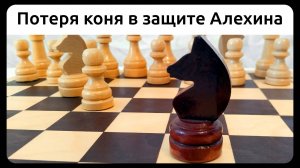 Потеря коня в защите Алехина. Обучение шахматам.