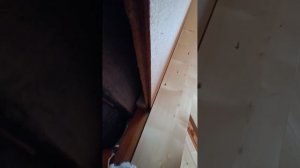 Утепление холодного чердака (подготовка)