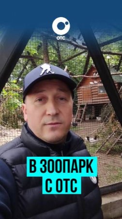 Анонс прямой трансляции | В зоопарк с ОТС