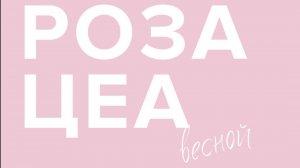 Доктор Екатерина Белина: Розацеа весной и летом: как избежать обострения?