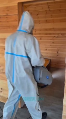 Уничтожение клопов и тараканов в квартире от службы дезинсекции и дезинфекции